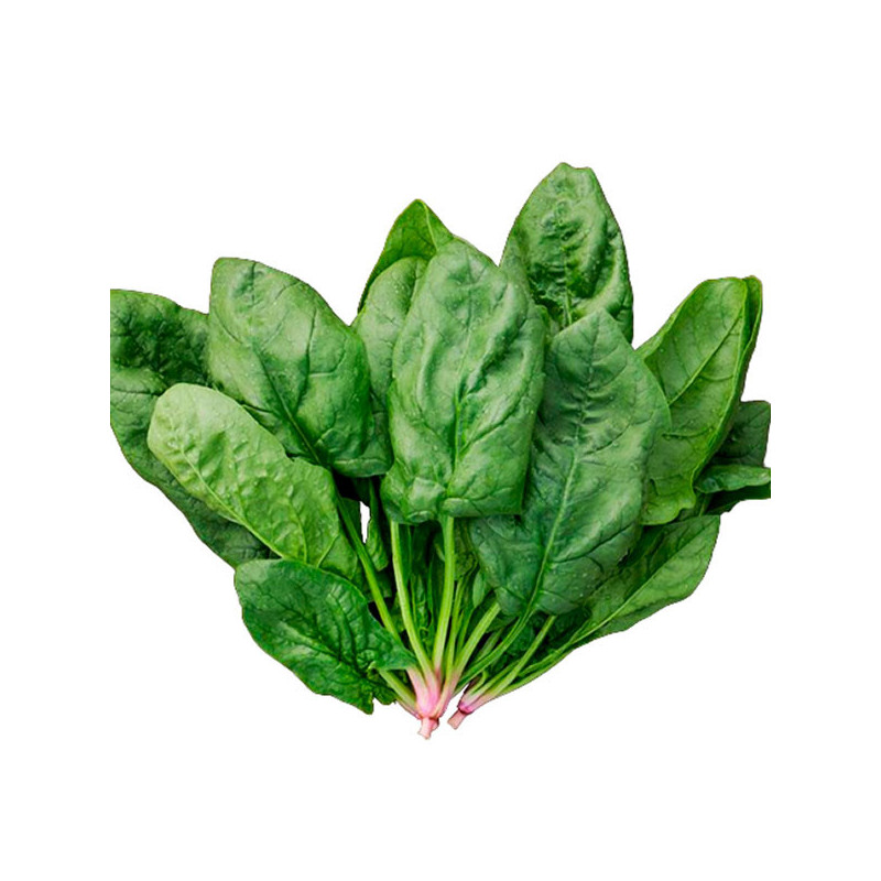 Espinaca Hibrida 424 1Kg, Semilla Espinaca F1