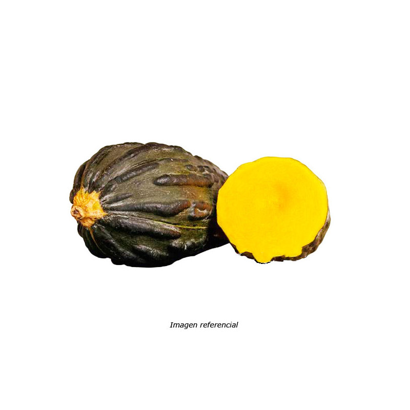 Zapallito Loche 500gr Cucurbita moschata Duchesne Variedad OP Nacional