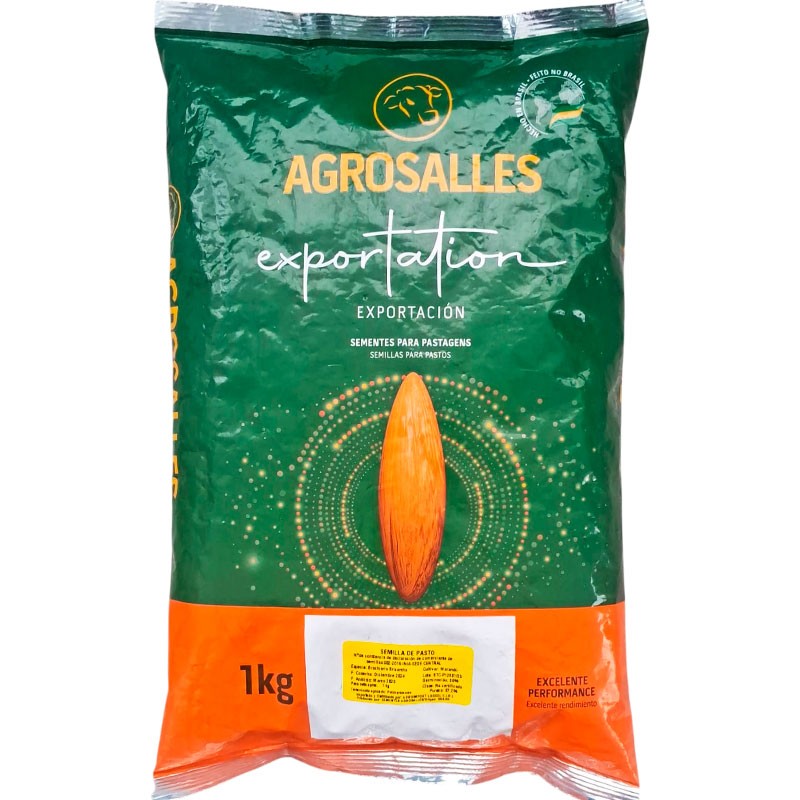 Panicum Maximum Tanzania 1Kg Semillas Pasto BRA-00748 Forraje Tropical ...