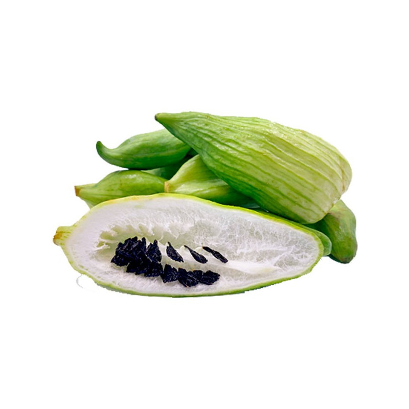 Caigua Criolla 500gr, Semillas de Caigua